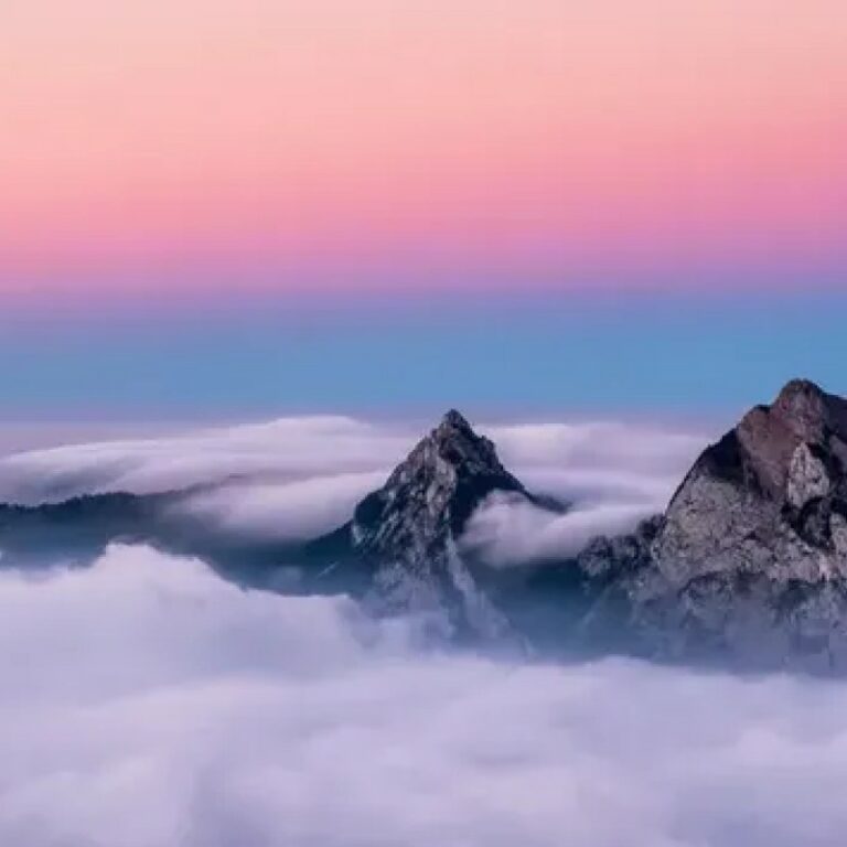 TecnoFor: Process Intelligence