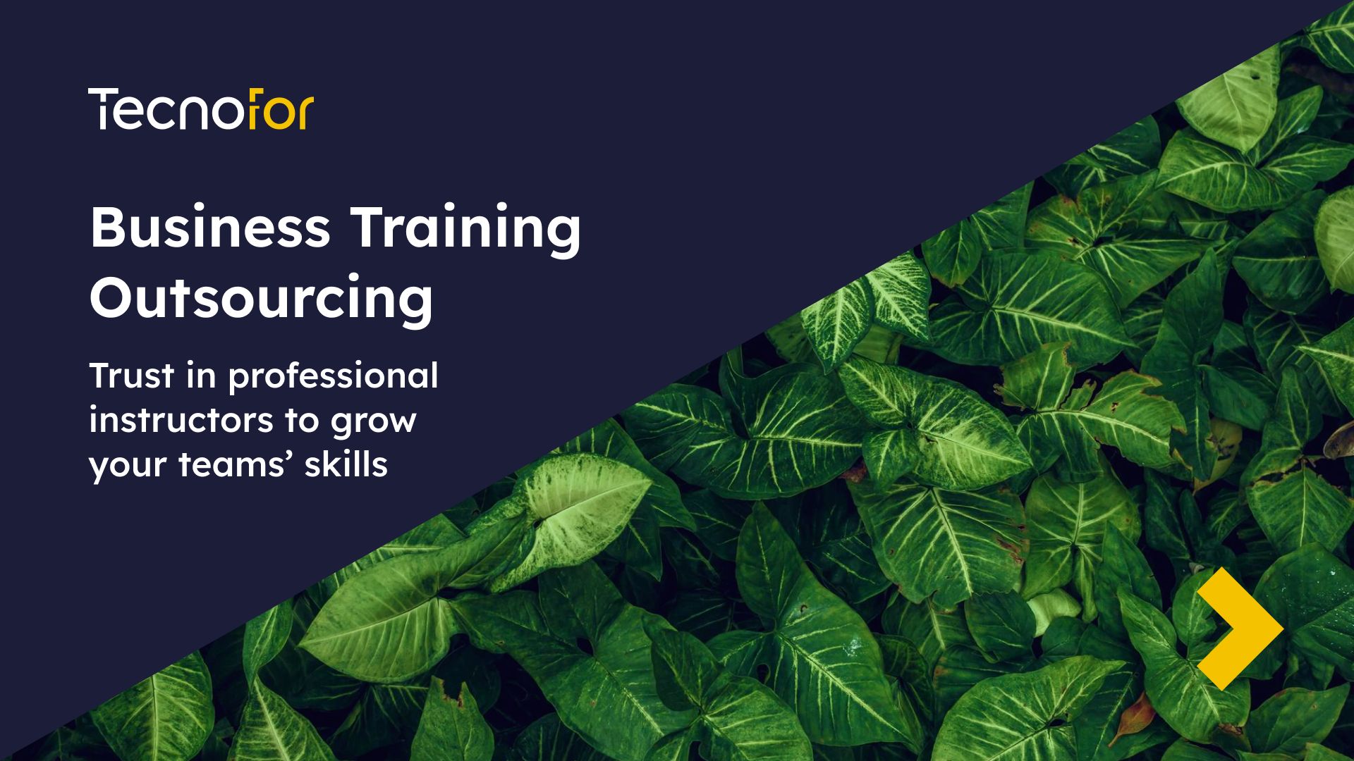 Training as a Service - TecnoFor