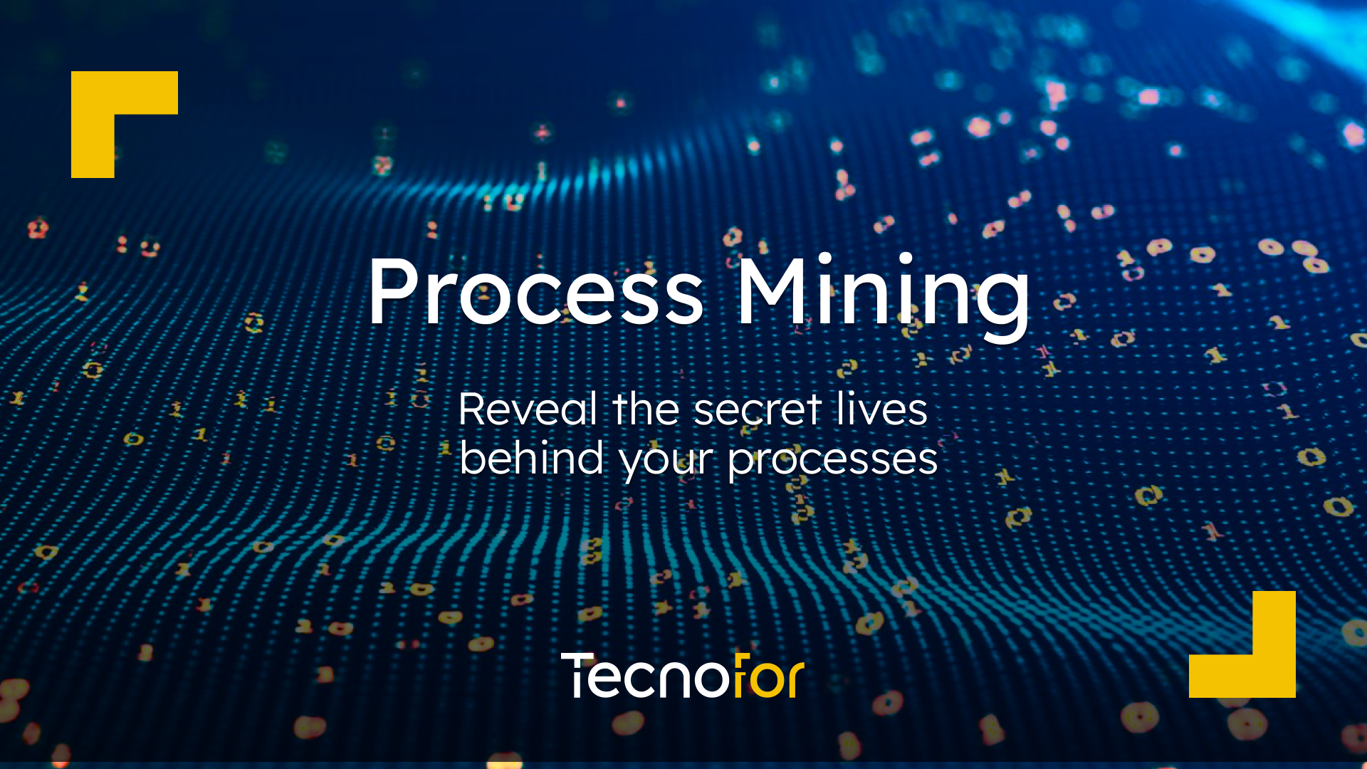 Process Mining - TecnoFor