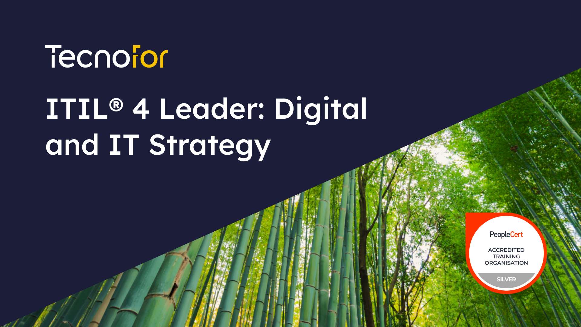 ITIL® 4 Leader: Digital and IT Strategy - TecnoFor