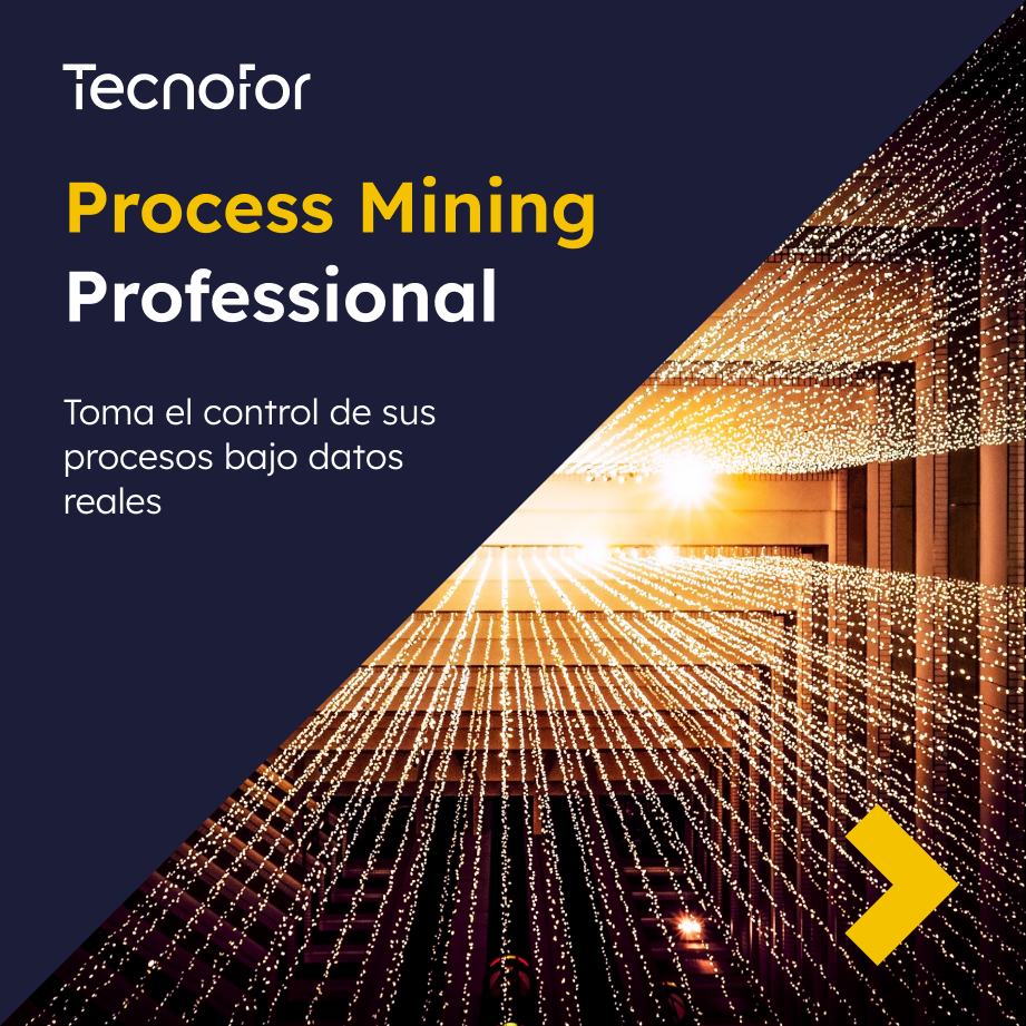 Process Mining Professional - TecnoFor