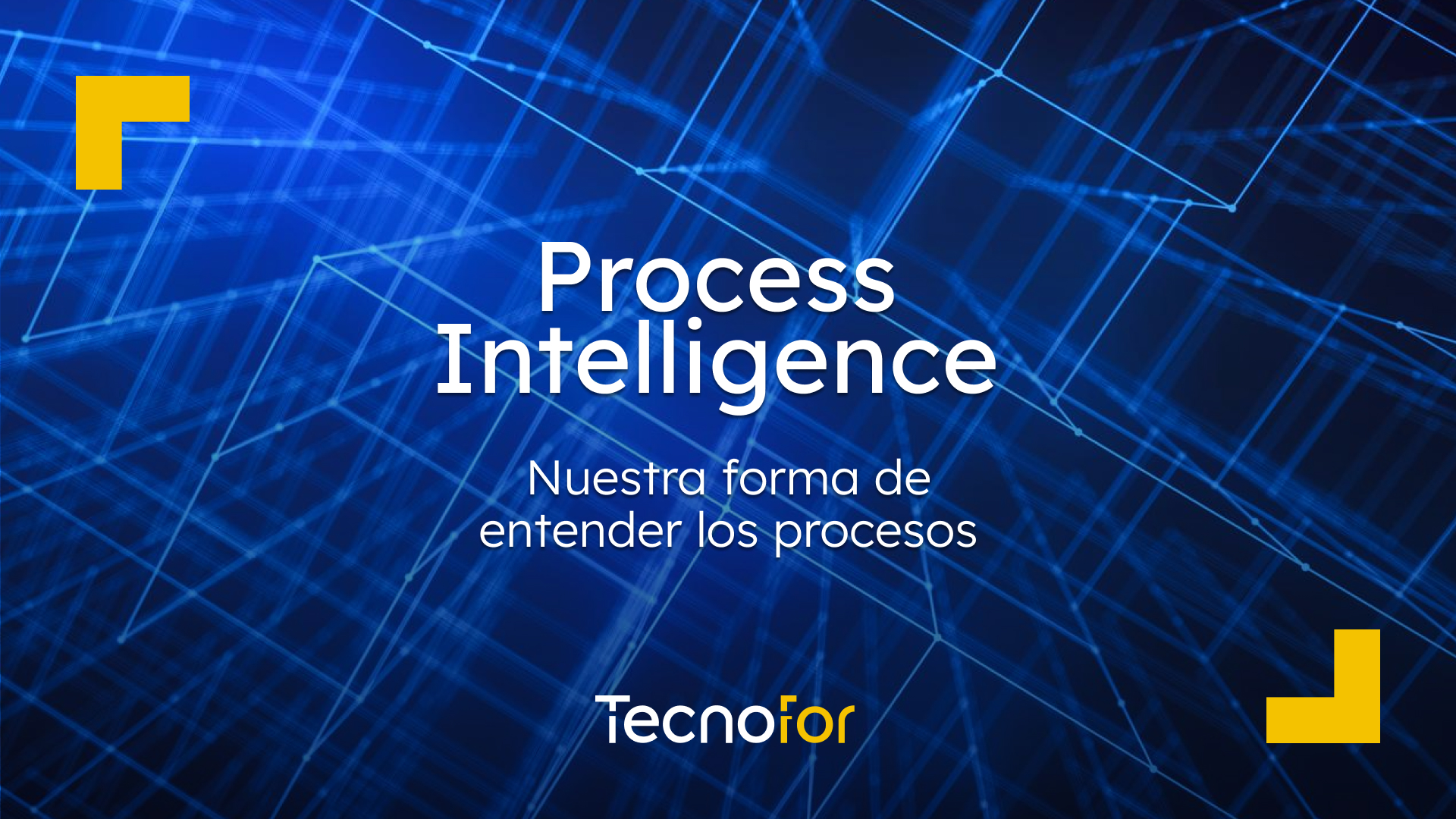 Process Intelligence - TecnoFor