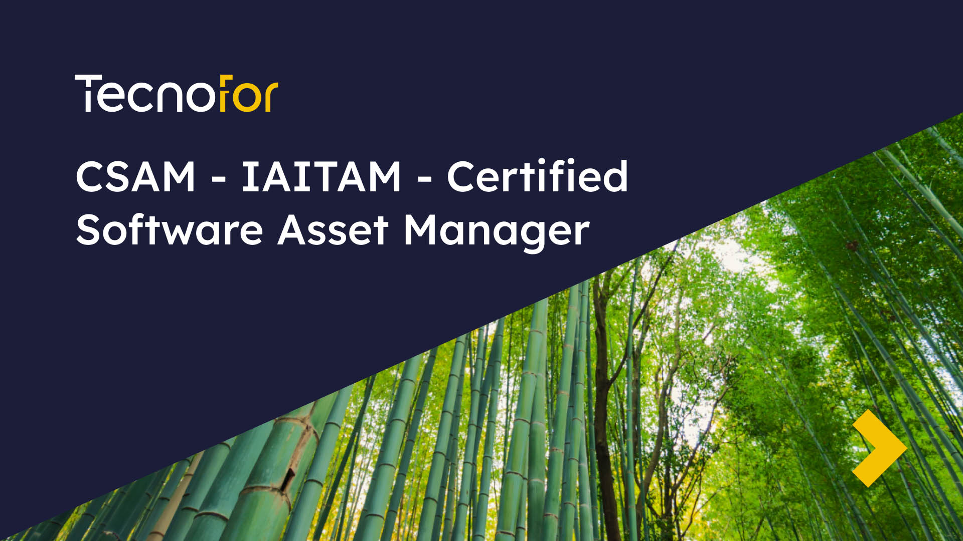 CSAM - IAITAM - Certified Software Asset Manager - TecnoFor