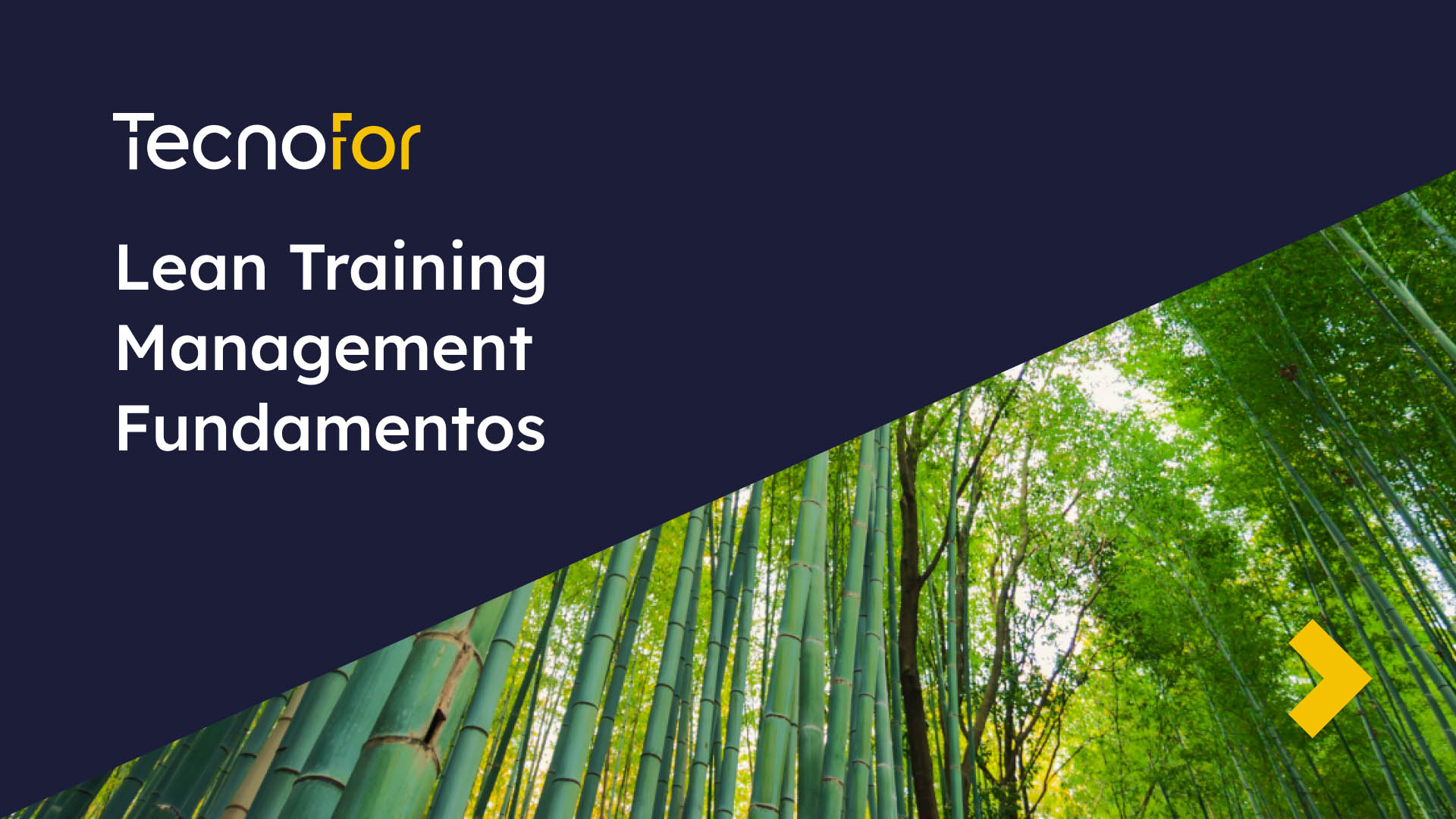Lean Training Management Fundamentos - TecnoFor