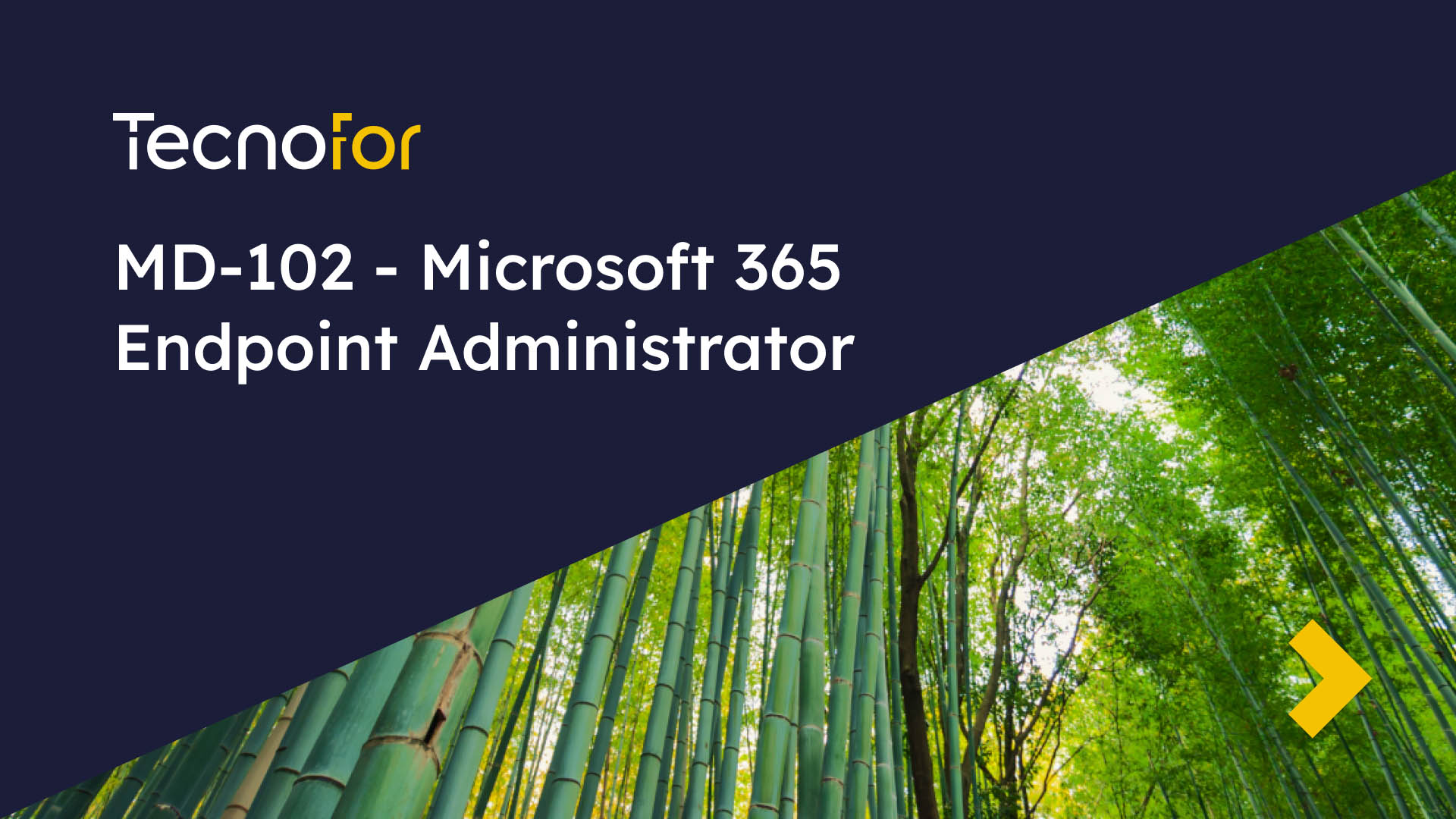 MD-102 - Microsoft 365 Endpoint Administrator - TecnoFor