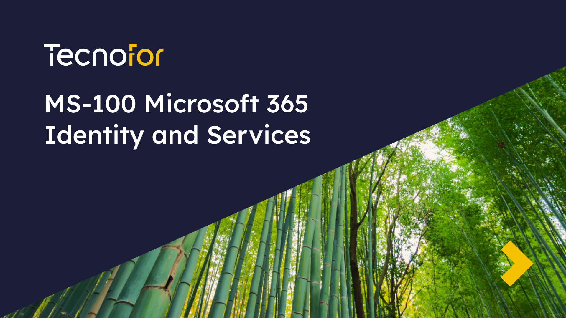 MS-100 Microsoft 365 Identity and Services - TecnoFor