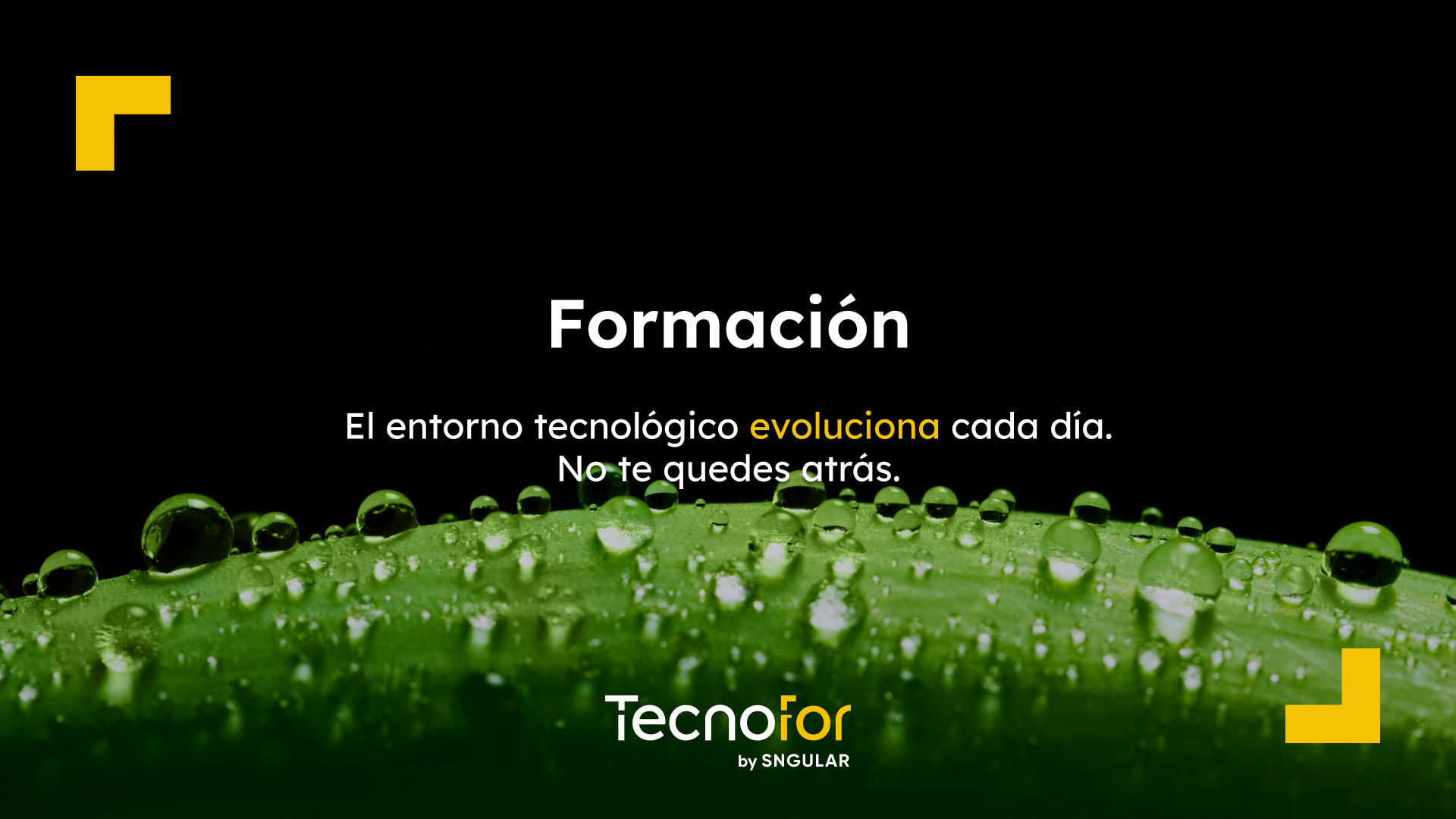 Formación - TecnoFor - Más de 30.000 alumnos formados.
