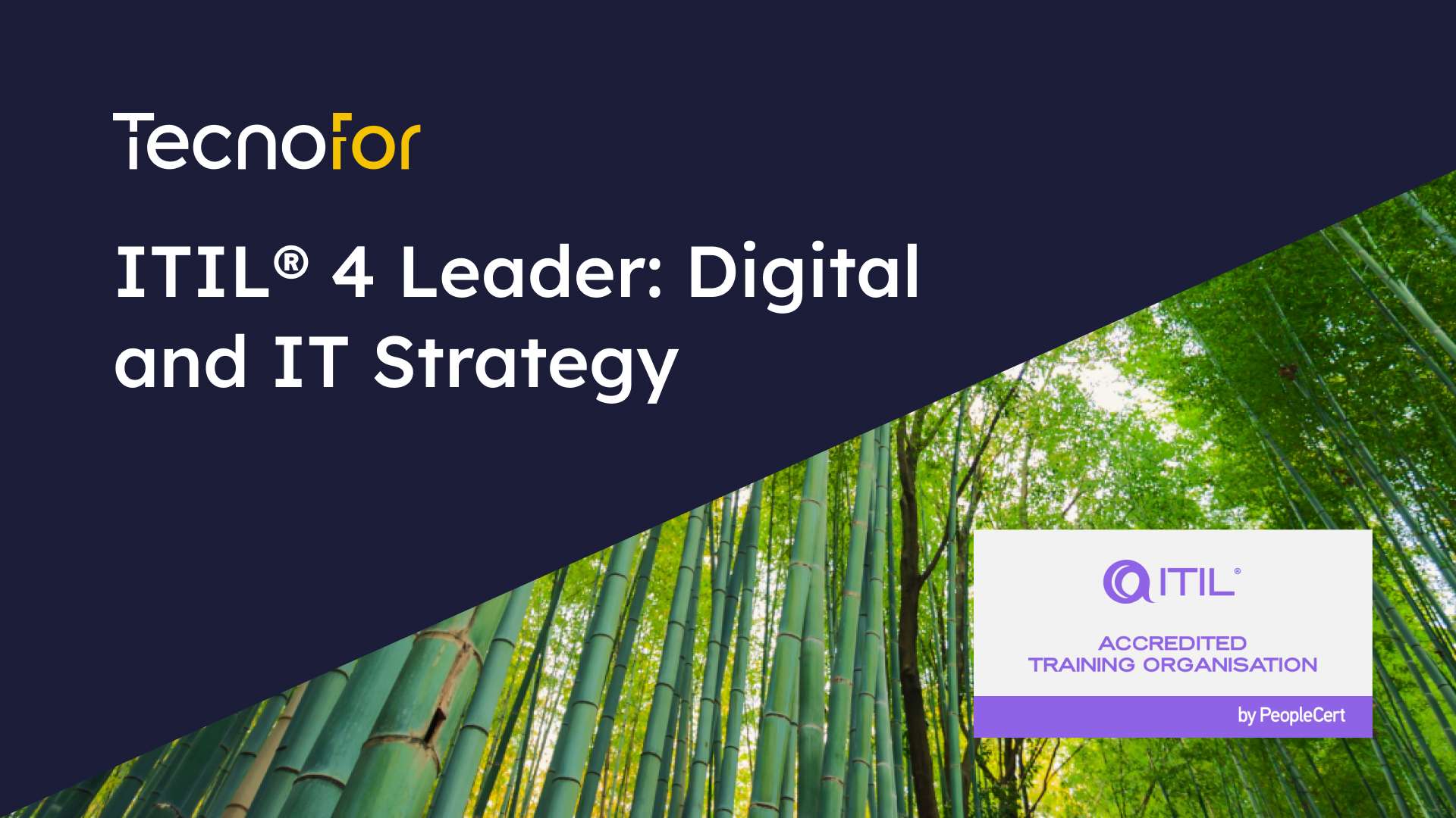 ITIL® 4 Leader: Digital and IT Strategy - TecnoFor